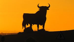 Spain By Dave | Custom Travel